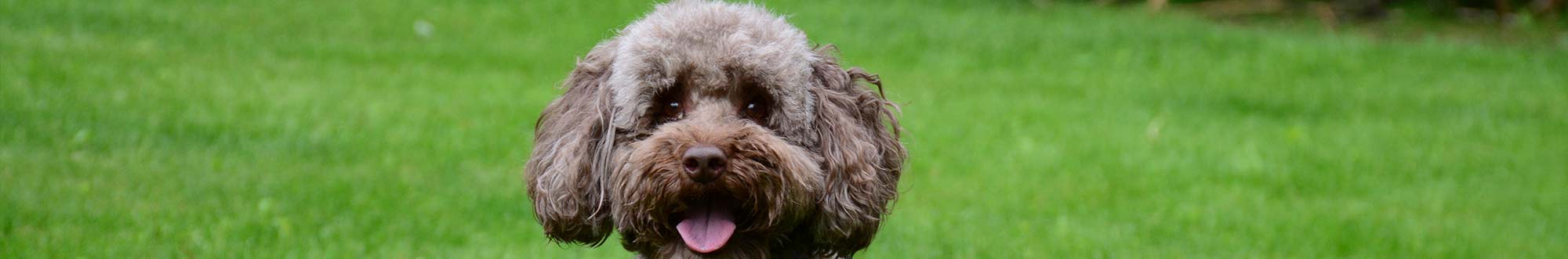 Jennifer Cichon's Instagram, Twitter & Facebook on IDCrawl